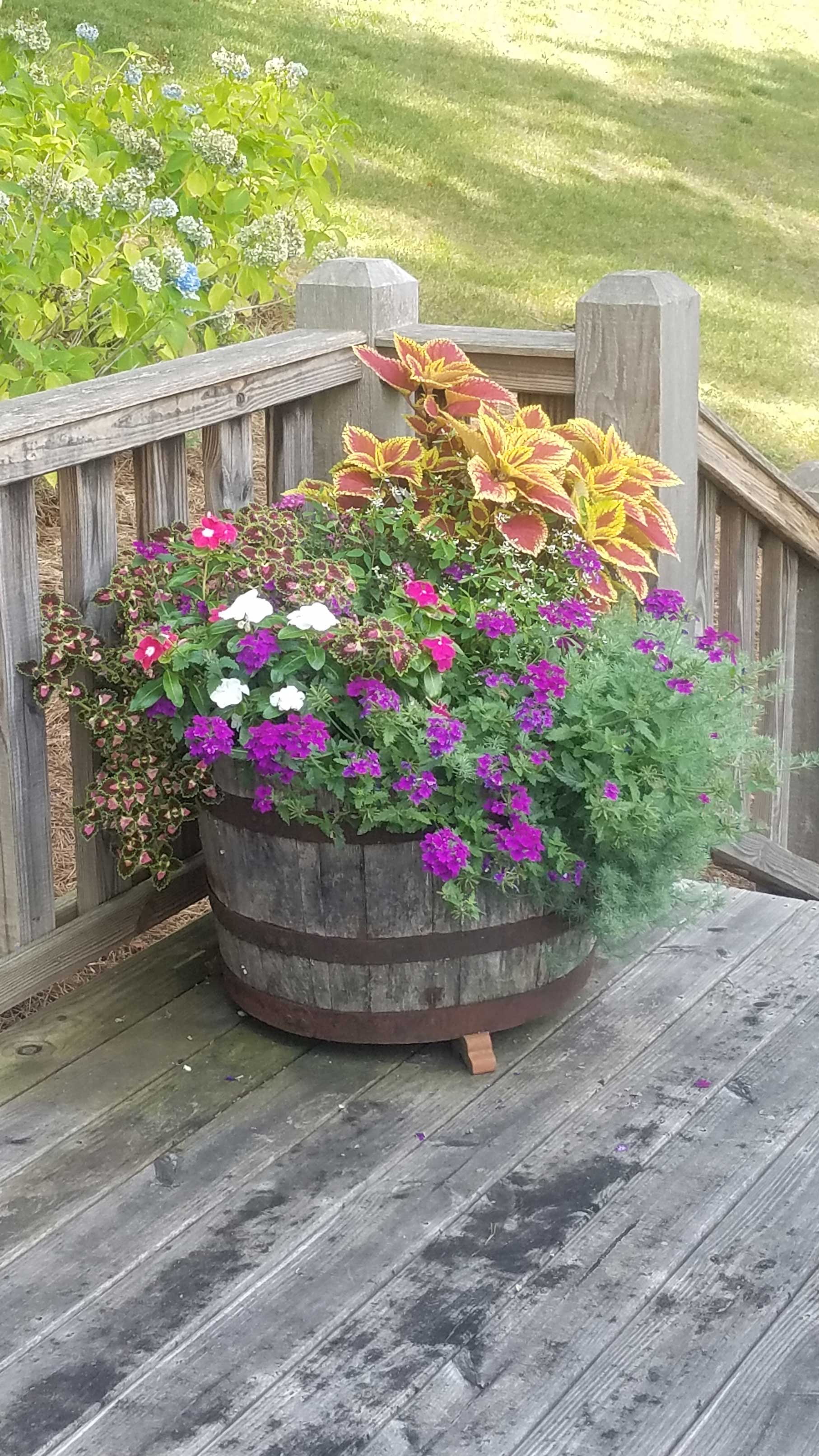 Gallery - Trophy Landscape Design | Trophy Landscape Design