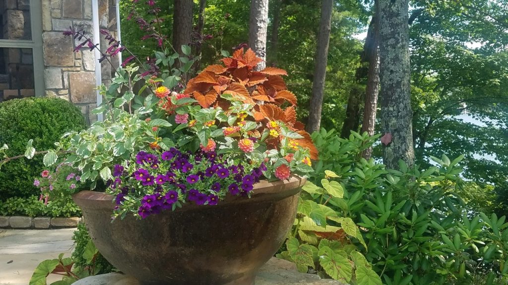 Gallery - Trophy Landscape Design | Trophy Landscape Design